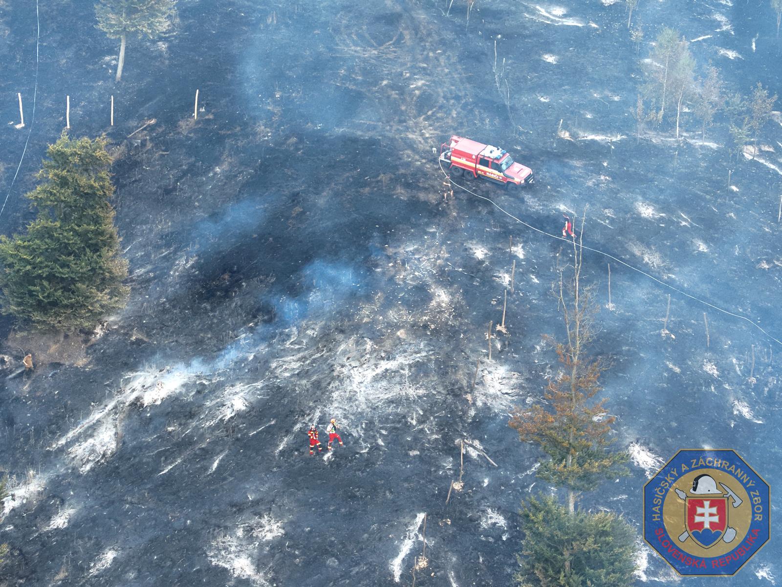 Požiar lesa pri obci Borinka v okrese Malacky, Ministerstvo vnútra ...